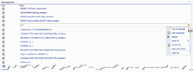 MOSS 2007中将Documents Library转换为DataView Webpart-阿里云开发者社区